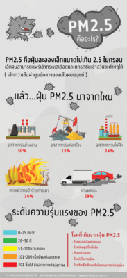 อันตรายของมลพิษฝุ่น PM2.5 และการปกป้องสุขภาพของคุณ - ไอเดีย 1009