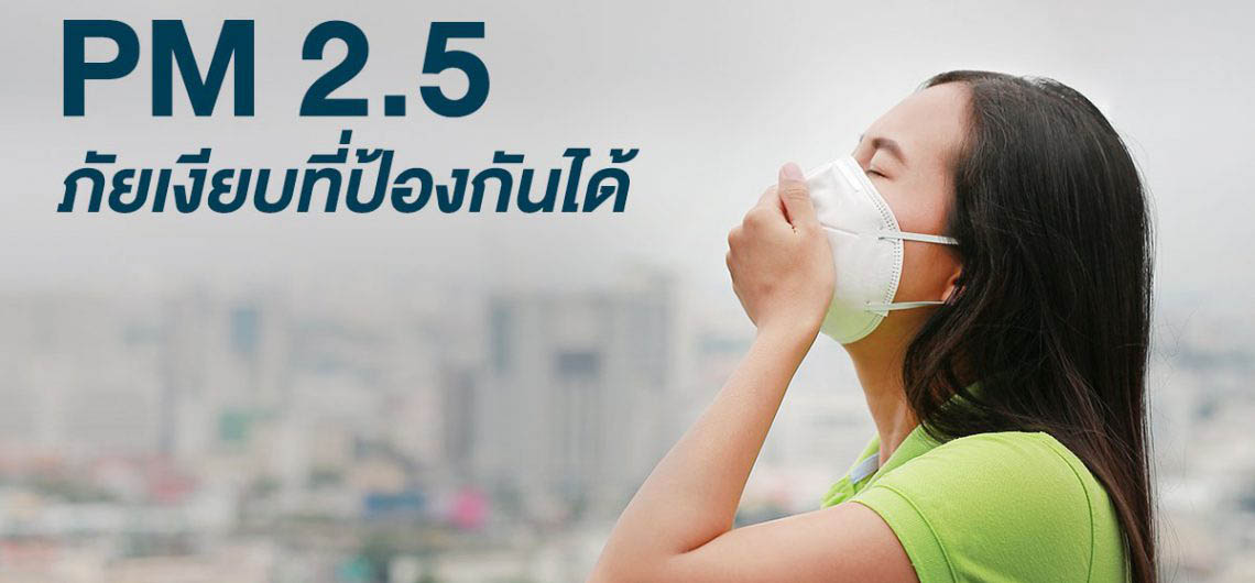 10 วิธีรับมือและจัดการกับฝุ่น PM2.5 - ไอเดีย 1009